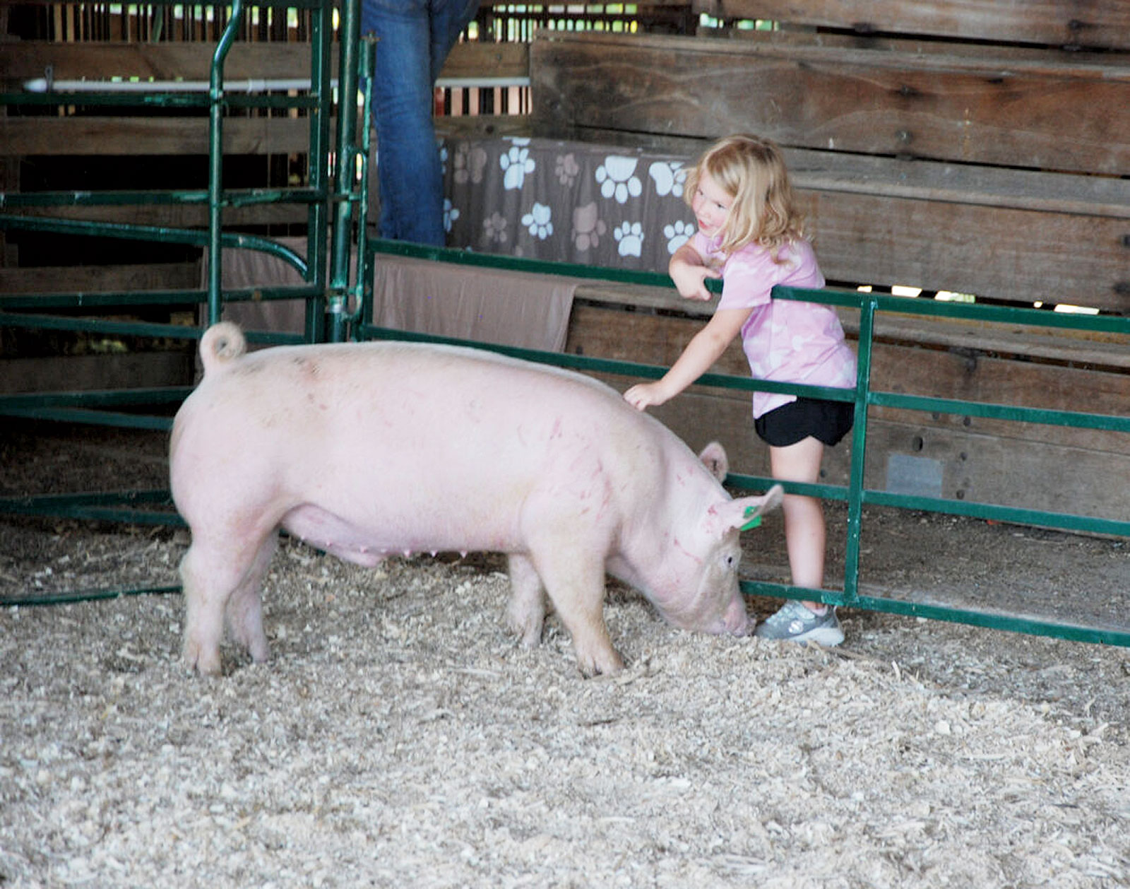 File-Waterford-Fair-1-tle | News, Sports, Jobs - Marietta Times